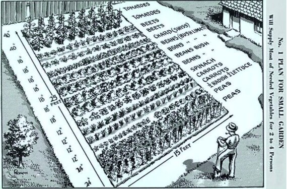 Original Victory Garden Plans
