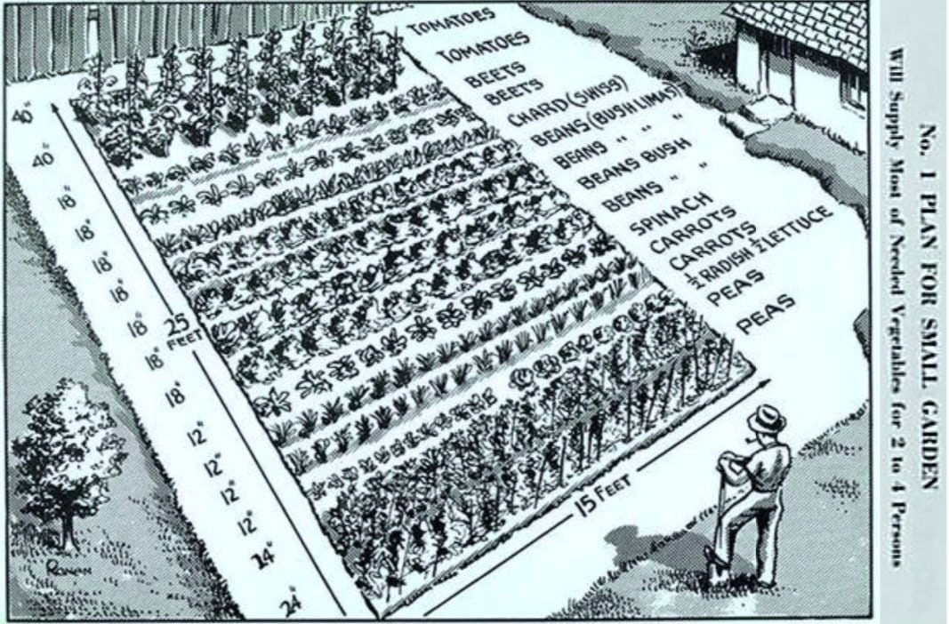 Vintage Victory Garden Plan Reprint - Etsy