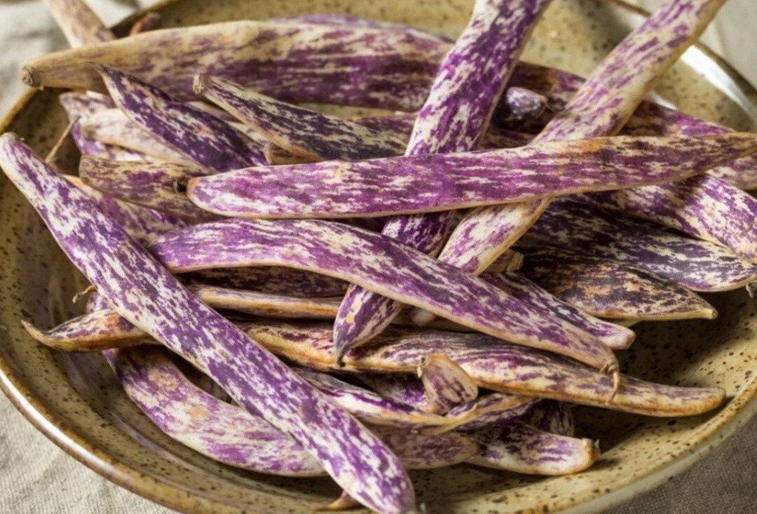 Dragon’s Tongue Bush Bean Seeds - Etsy