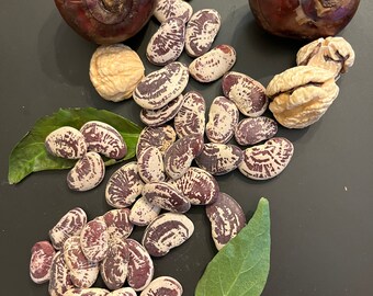 Lima Bean - Etsy