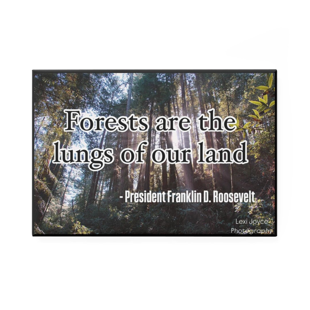 FDR Quote Rectangle Magnet, Muir Woods Photo, Magnet Gift, Nature Lover ...