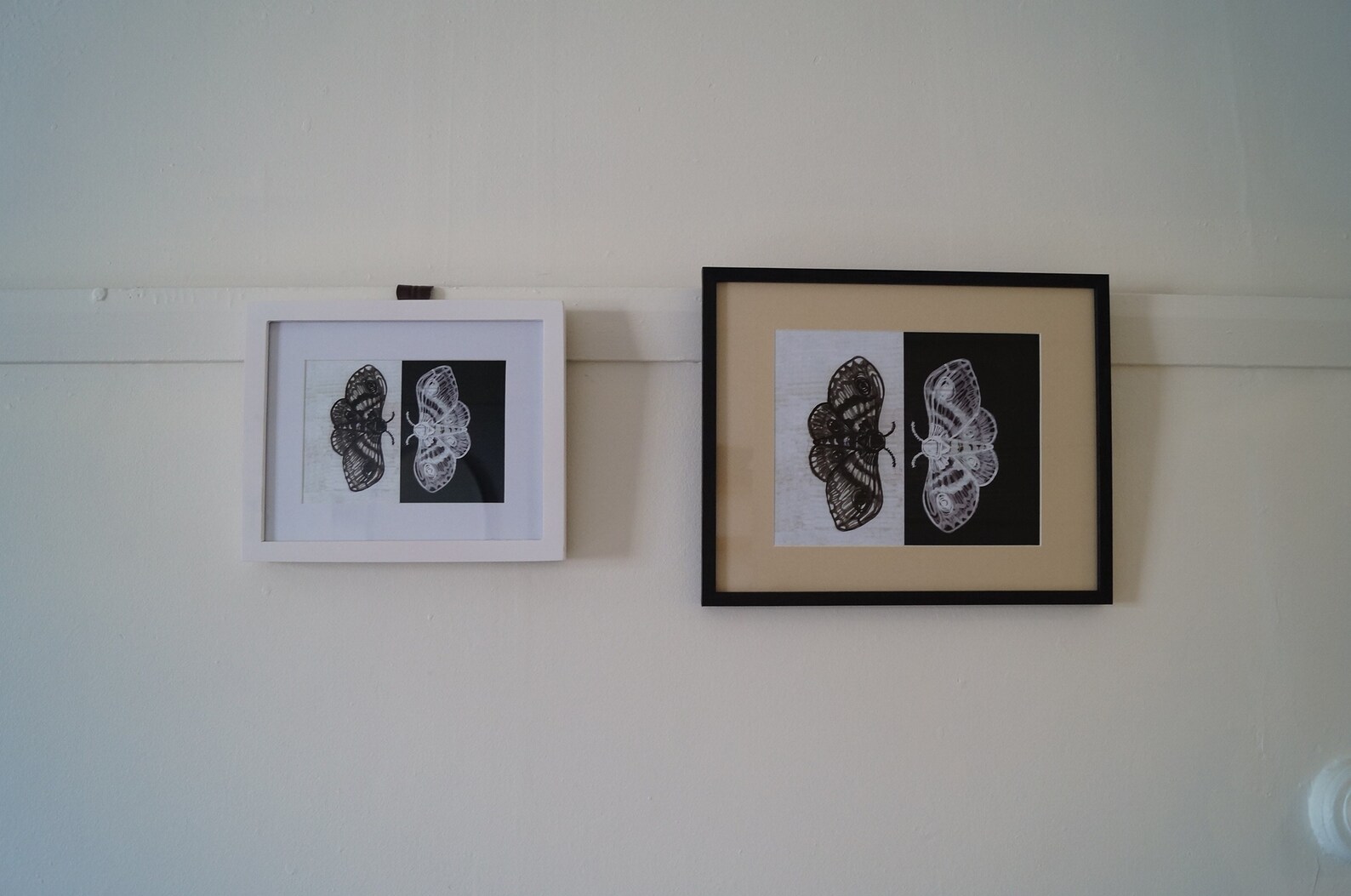 Black+white, Moth, Ink Drawing, 8x10inch, Printable, Frameable ...