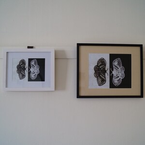 Black+white, Moth, Ink Drawing, 8x10inch, Printable, Frameable ...