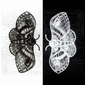 Black+white, Moth, Ink Drawing, 8x10inch, Printable, Frameable ...