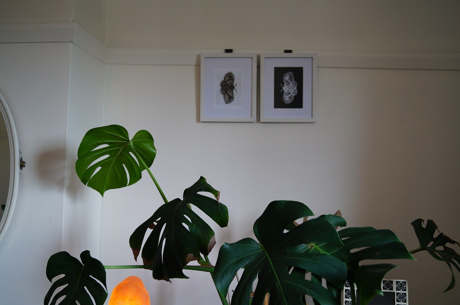 Black+white, Moth, Ink Drawing, 8x10inch, Printable, Frameable ...