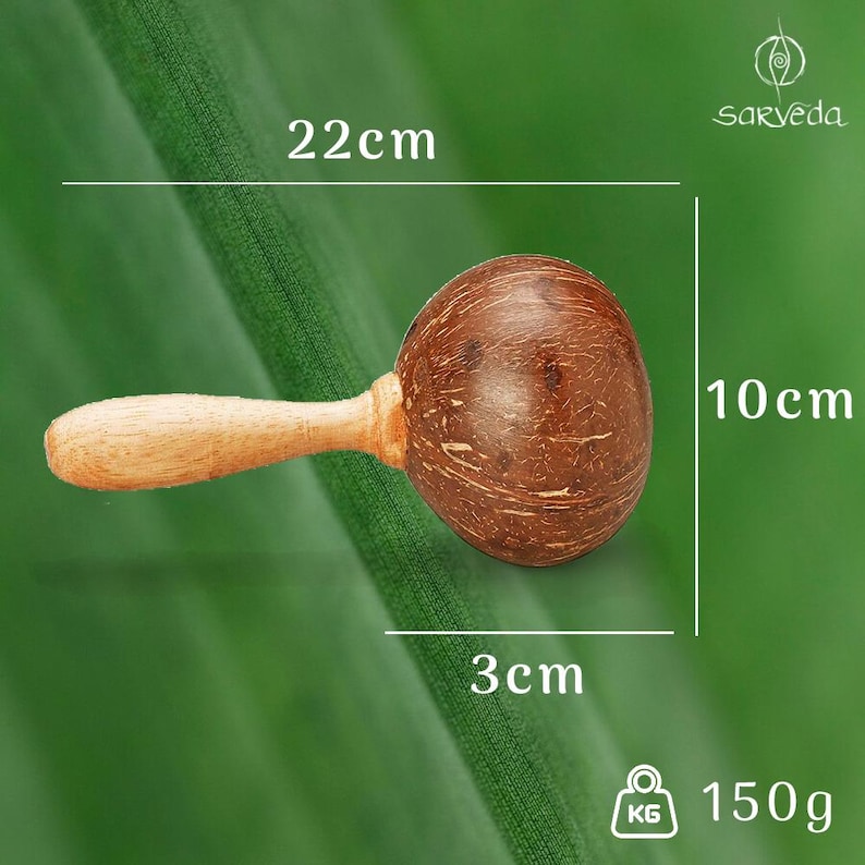 Sarveda Handcrafted Coconut Maracas | Made Naturally for Sound ...