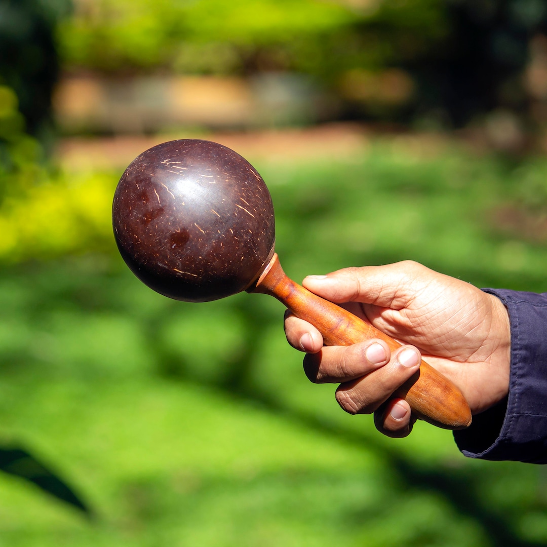 Sarveda Handcrafted Coconut Maracas | Made Naturally for Sound ...