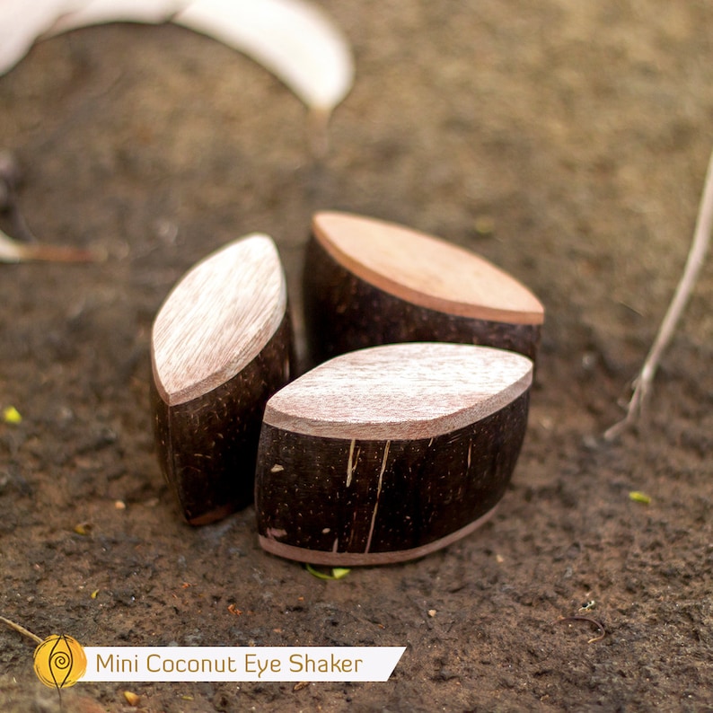 Handcrafted Mini Shakers Made From Coconut Shells Perfect - Etsy