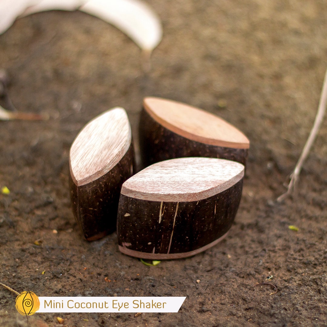 Handcrafted Mini Shakers Made From Coconut Shells for - Etsy