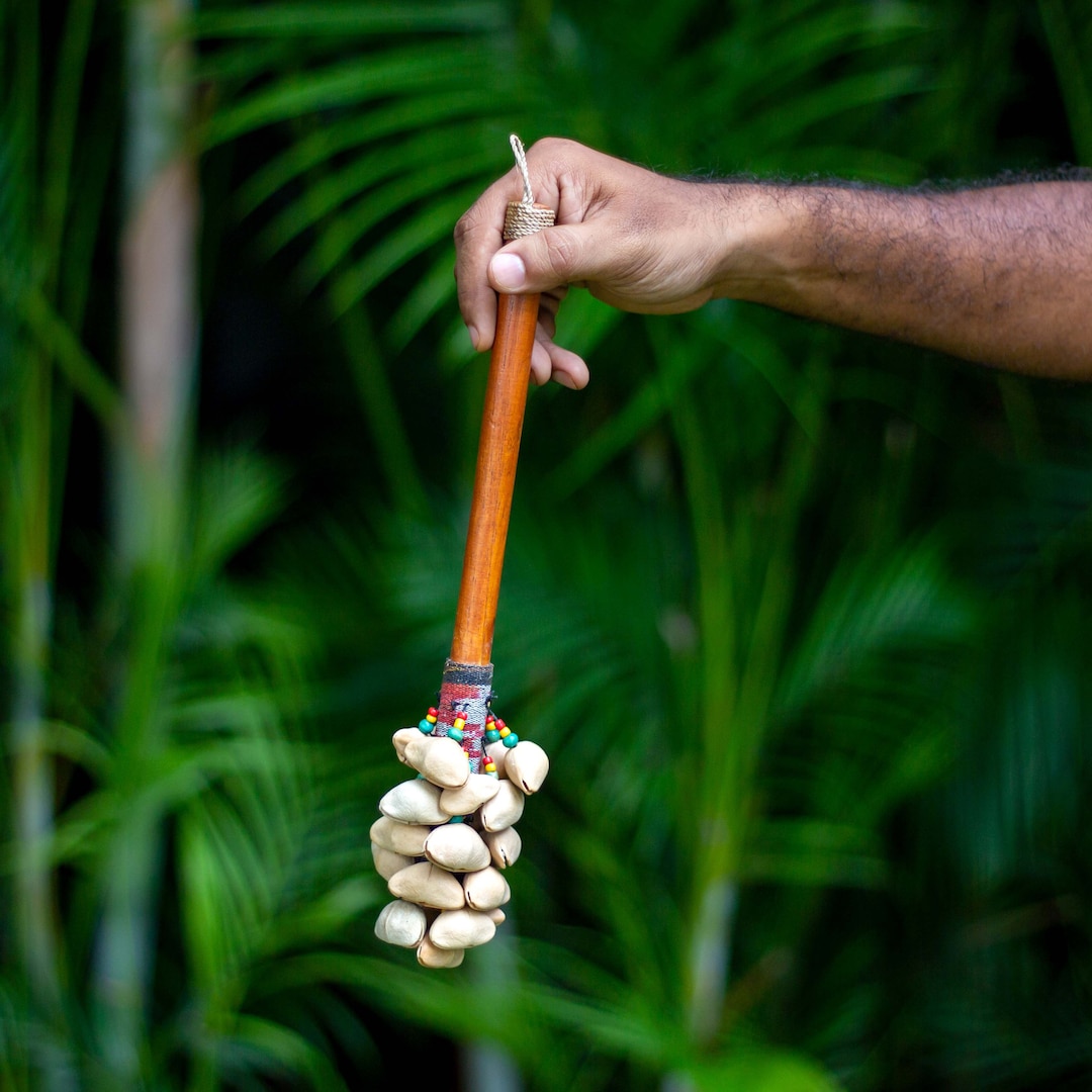 Kenari Seed Shell Shaker With Handle Perfect Rattle for Sound Journeys ...