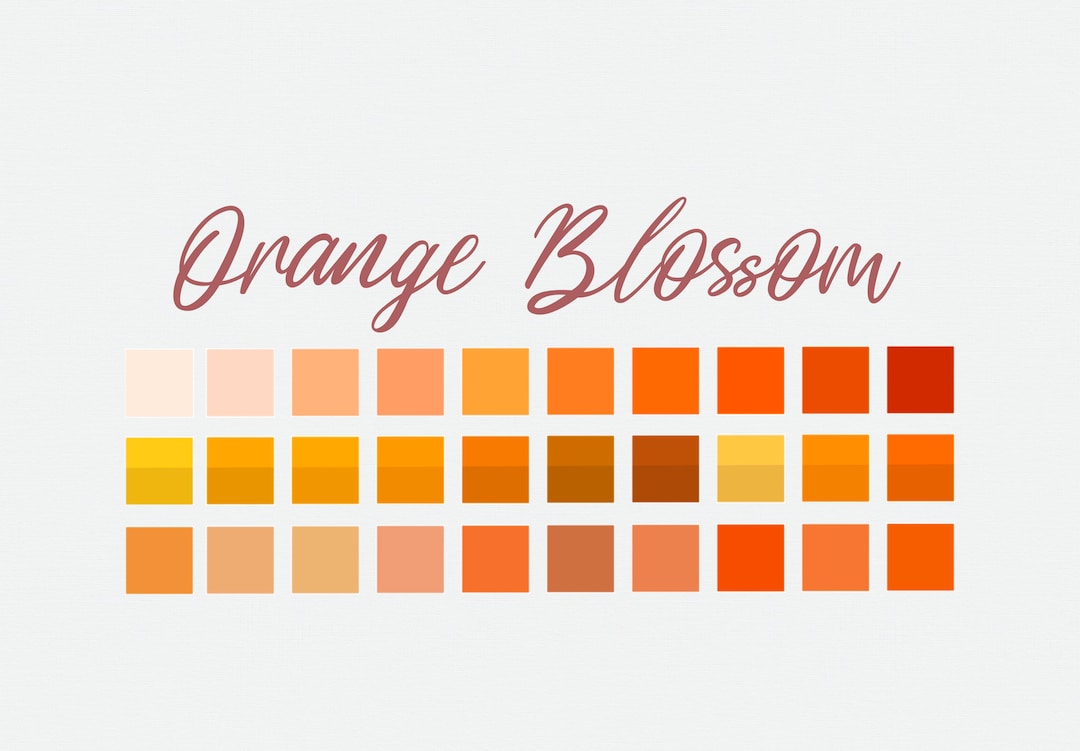 Orange Blossom - Procreate Color Palette - Etsy