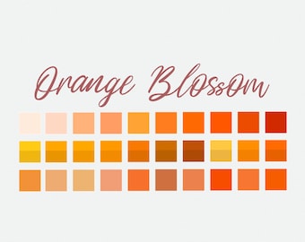 Orange Splash Procreate Palette 30 HEX Color Codes Instant - Etsy