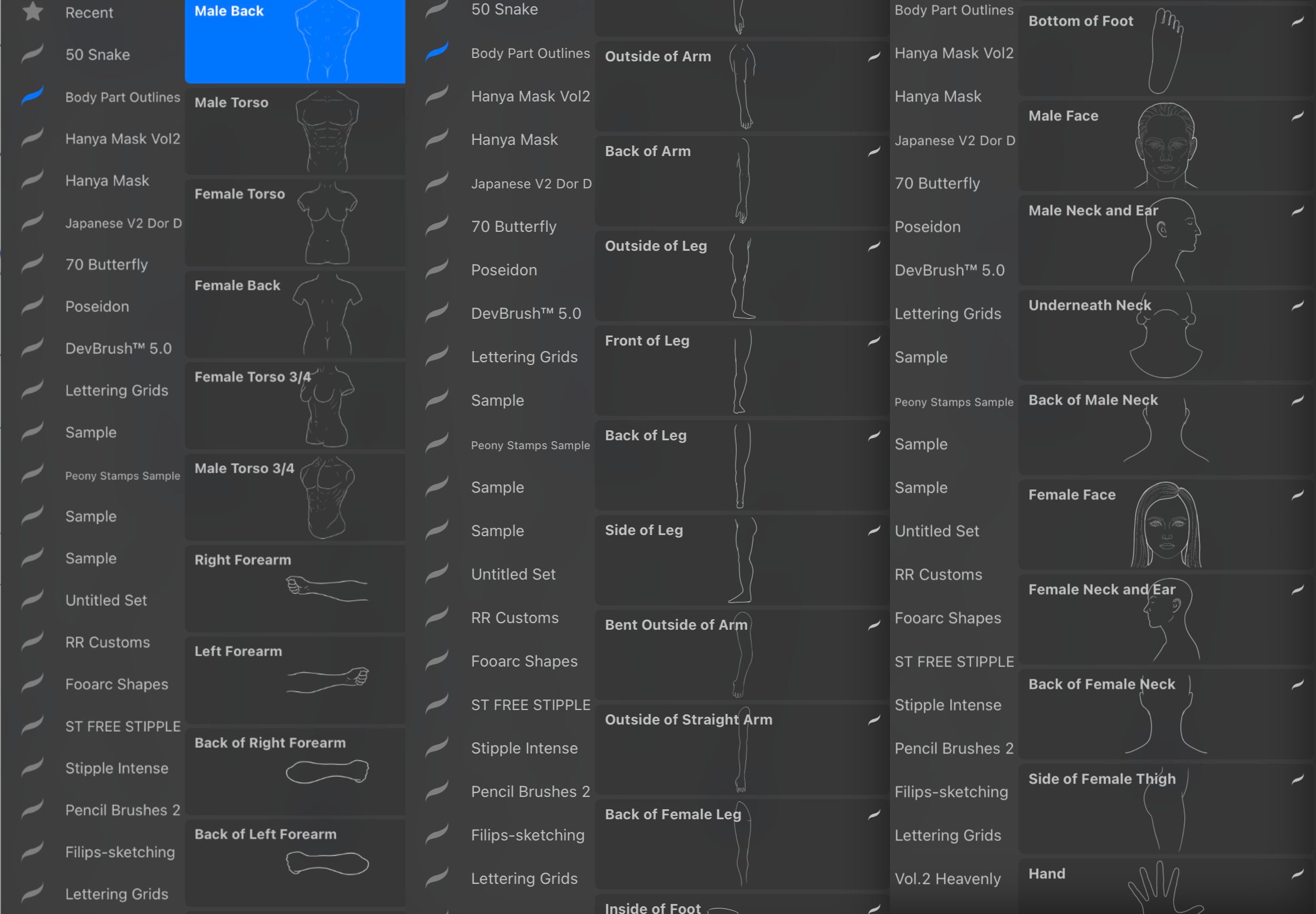 Body Part Outlines Procreate Arms, Legs, Torso, Chest, Back, Neck, Ear ...