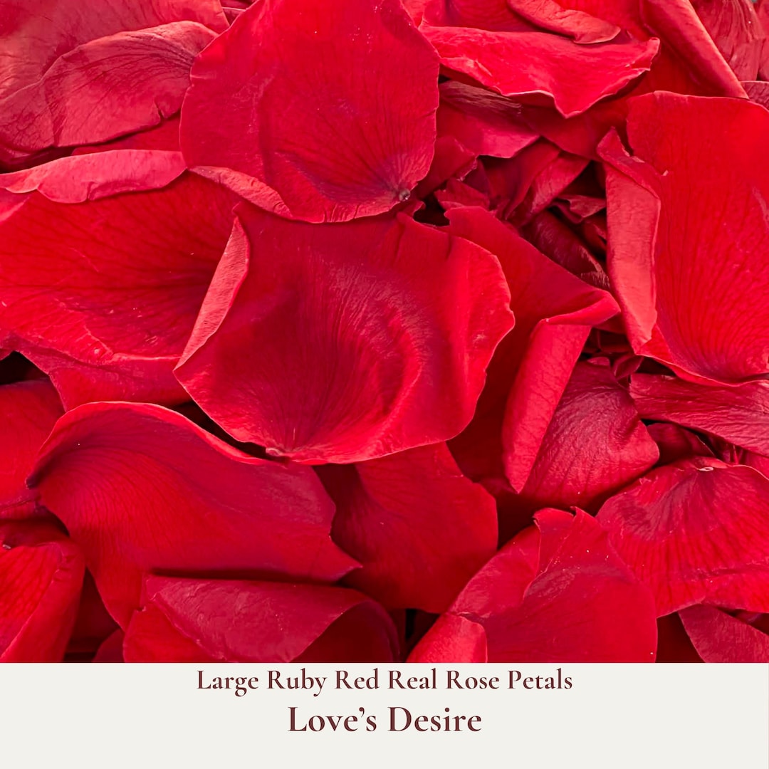 1 Litre Ruby Red Rose Petal Wedding Confetti - Real Biodegradable Large ...