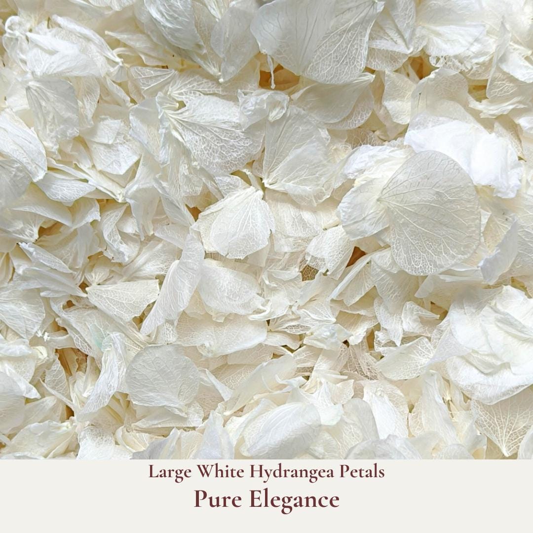 1L Large Hydrangea Petal Wedding Confetti - Biodegradable Confetti ...