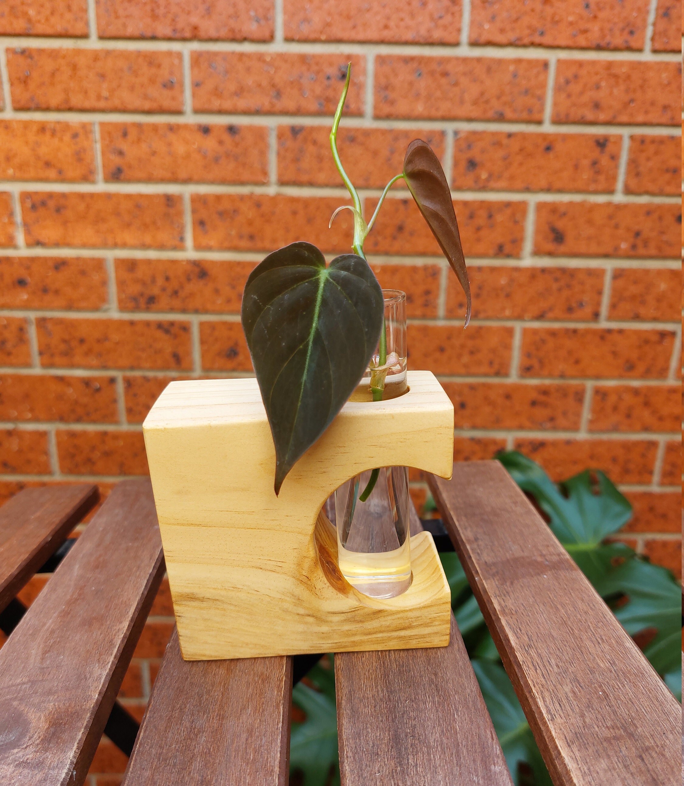 Handcrafted Wooden Propagation Vessel/wood Propagation Vessels ...