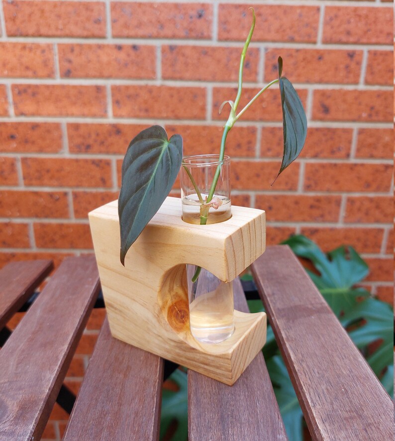 Handcrafted Wooden Propagation Vessel/wood Propagation Vessels ...