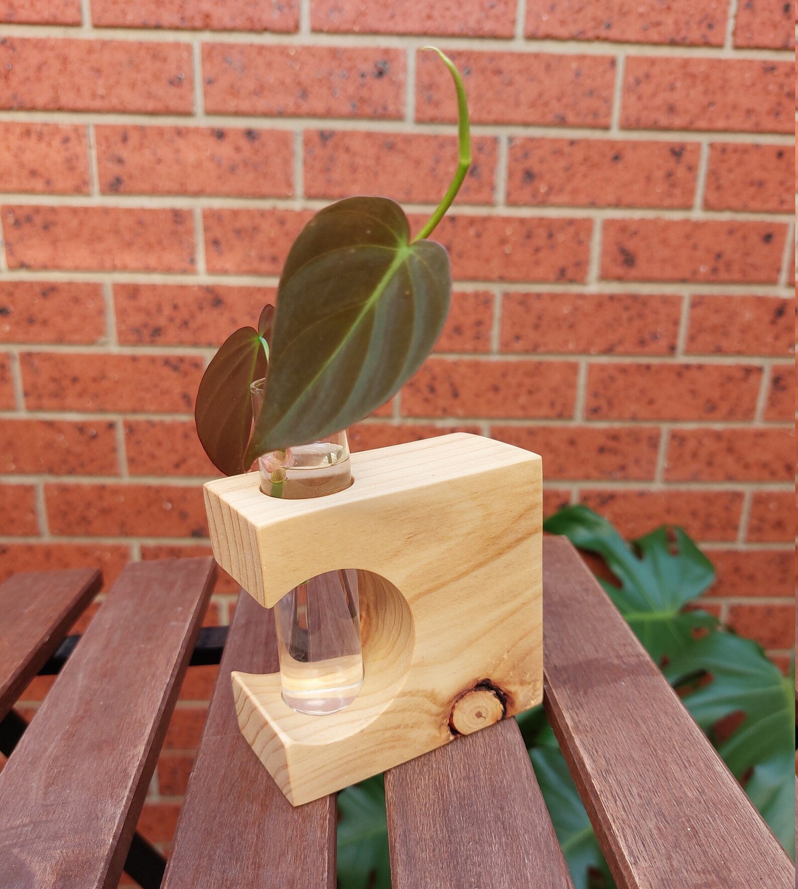 Handcrafted Wooden Propagation Vessel/wood Propagation Vessels ...