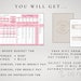 Bi-weekly Weekly Budget Template | Debt Payoff Tracker | Debt Snowball ...