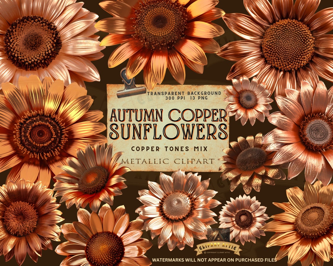 Sunflower PNG - Copper Art - Autumn Clipart - Fall Clipart - Junk ...