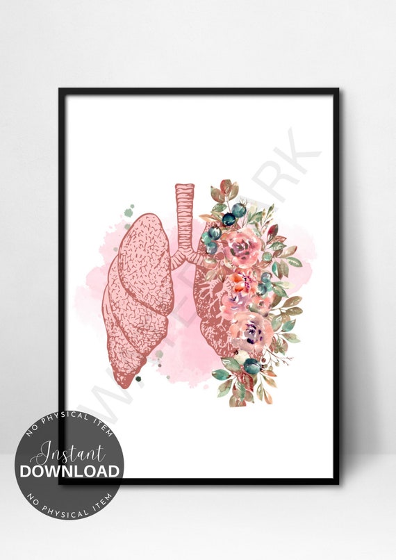 Lung Decorative Anatomy Art Work | Etsy