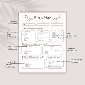 Pregnancy Planner, Labor and Delivery, Natural Birth Plan, Doula ...