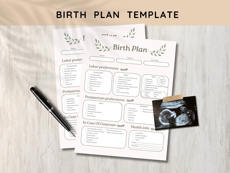 Pregnancy Planner, Labor and Delivery, Natural Birth Plan, Doula ...