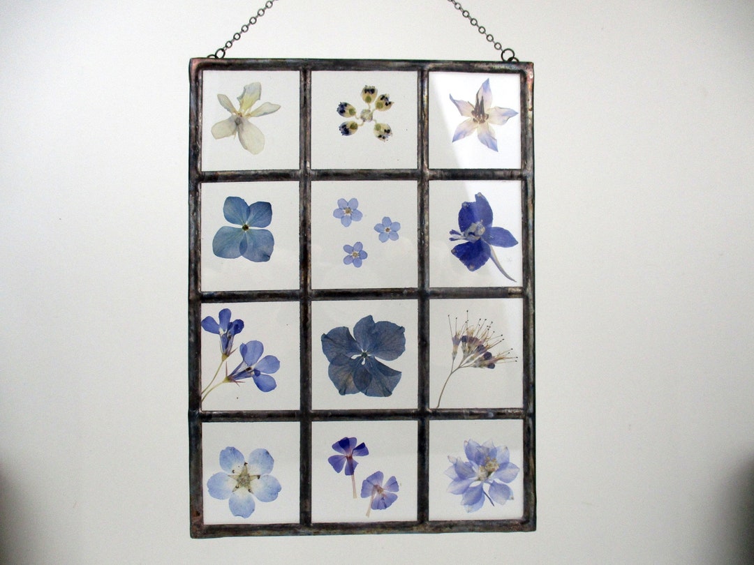 Pressed Flowers in Stained Glass Frame, Mix of Blue Flowers. Floating ...