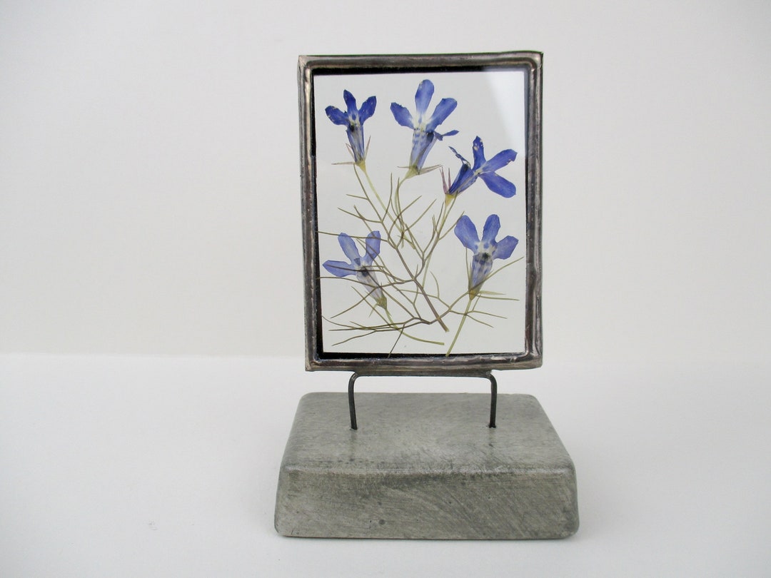 Pressed Flowers in Glass Frame With Stand, Stained Glass Frame, Lobelia ...