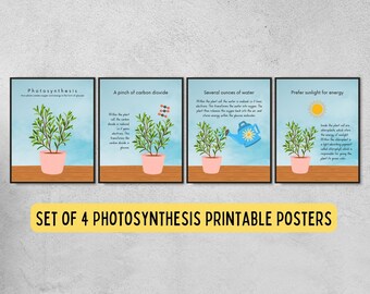 Biology Bulletin Board - Etsy