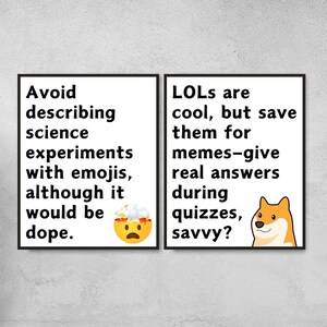 Funny Classroom Rules Printable Posters for High School, Classroom ...