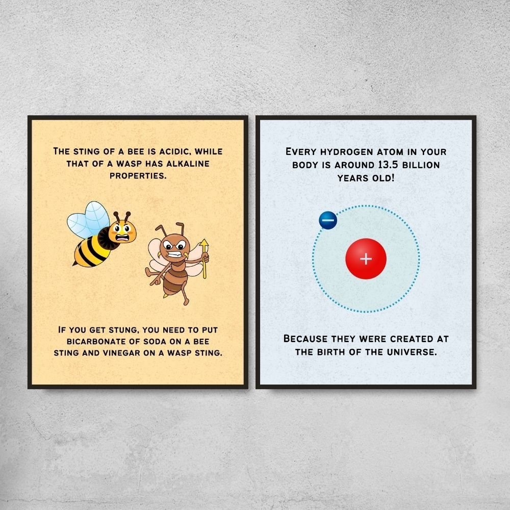 Set of 10 Chemistry Classroom Decor Posters, Science Fun Facts ...