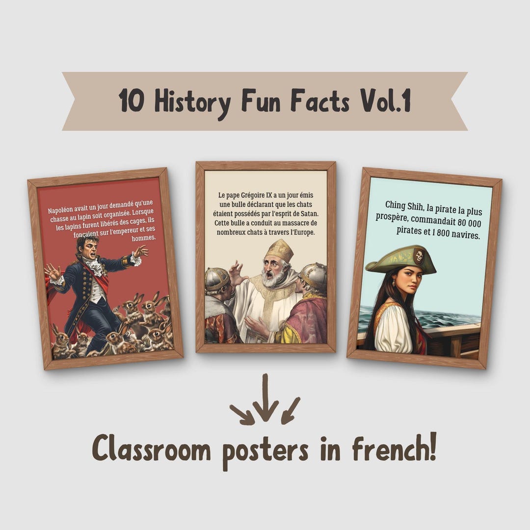 10 History Fun Facts Classroom Posters in French, Social Studies ...