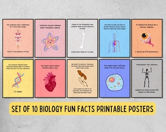 Biology Bulletin Board - Etsy