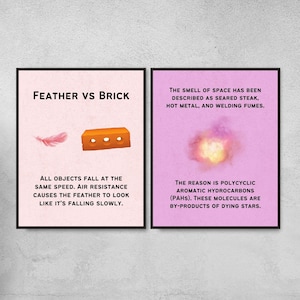 Set of 8 Physics Fun Facts Classroom Decor Posters, Physics Laboratory ...