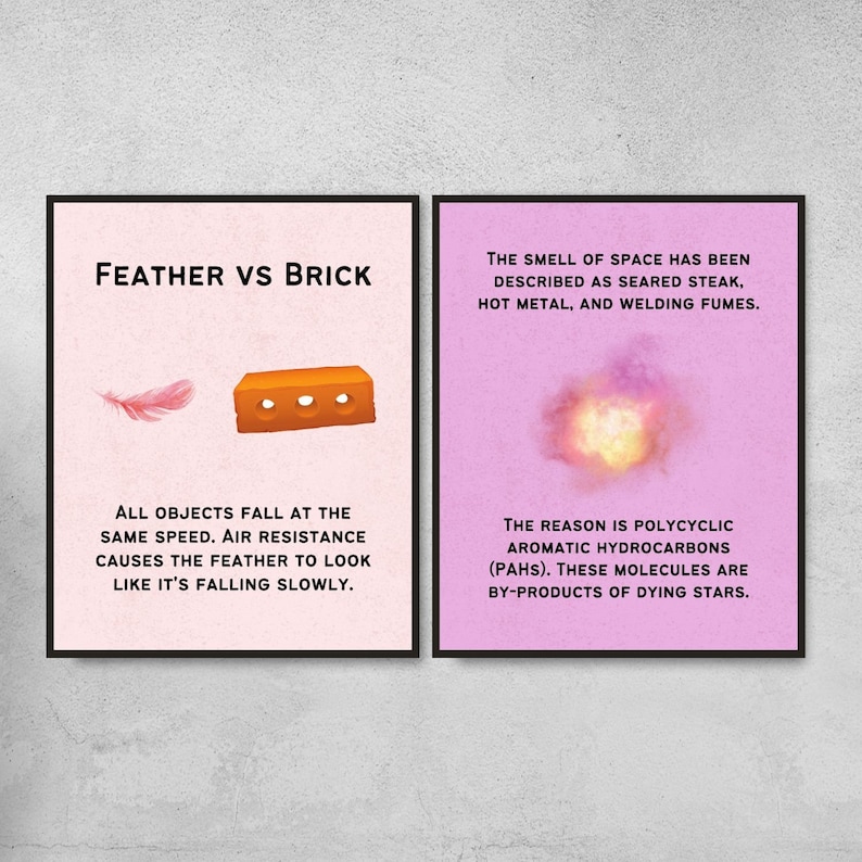 Set of 8 Physics Fun Facts Classroom Decor Posters, Physics Laboratory ...