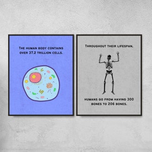 Set of 10 Biology Fun Facts Printable Posters, Science Classroom Decor ...