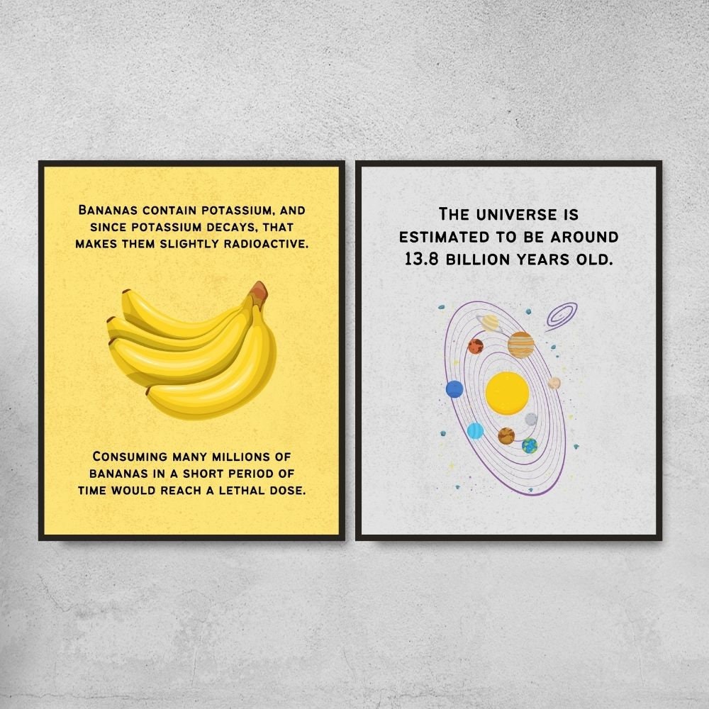 Physics Fun Facts Posters for Classroom Decorations, Popular Science ...
