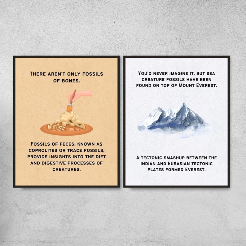 Geology Fun Facts Classroom Posters & Flashcards, Homeschool Geology ...