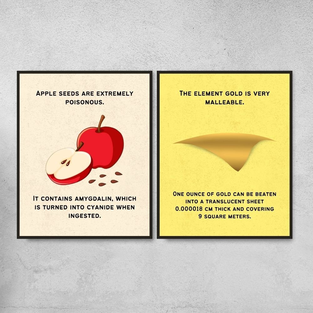 Set of 10 Chemistry Classroom Decor Posters, Science Fun Facts ...