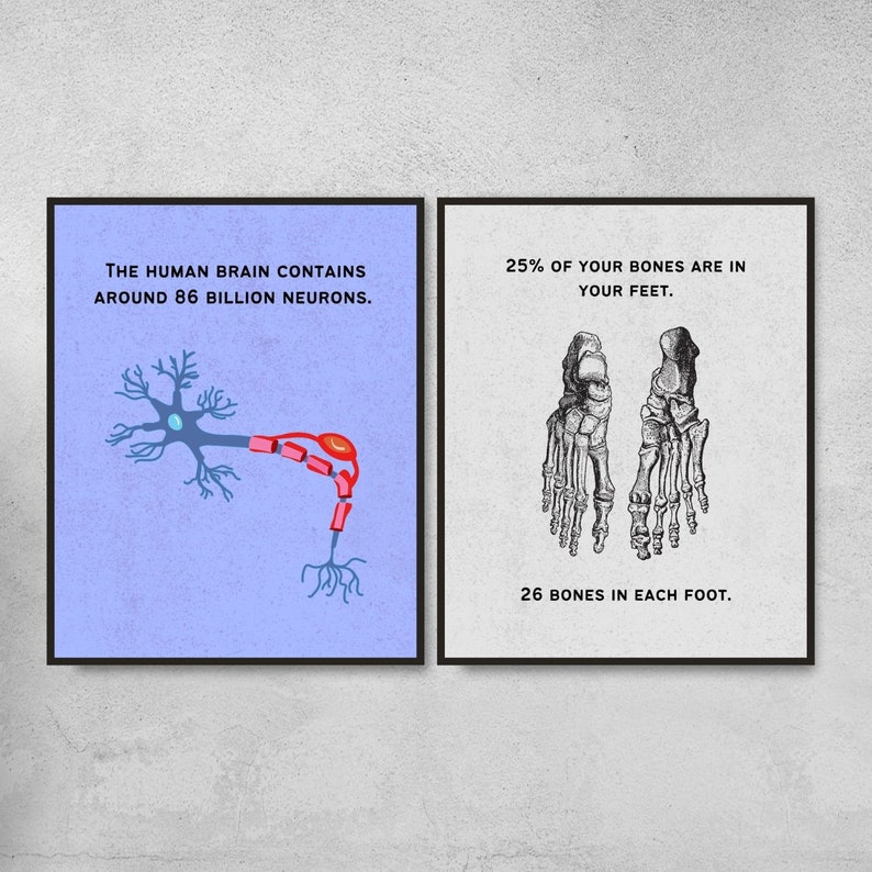 Biology Fun Facts Posters for Classroom Decor, Popular Science Posters ...
