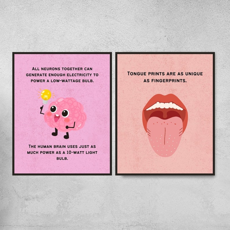 Biology Fun Facts Posters for Classroom Decor, Popular Science Posters ...