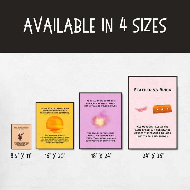 Set of 8 Physics Fun Facts Classroom Decor Posters, Physics Laboratory ...