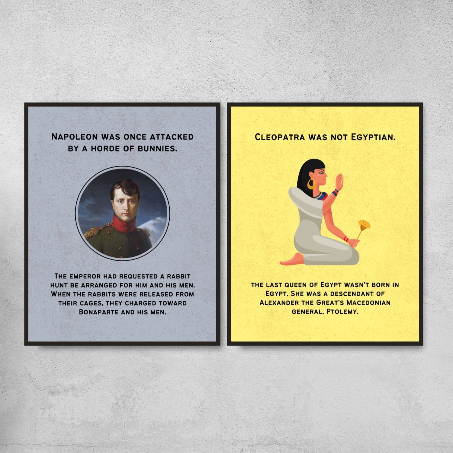 History Fun Facts Posters & Flashcards, World History Classroom Posters ...