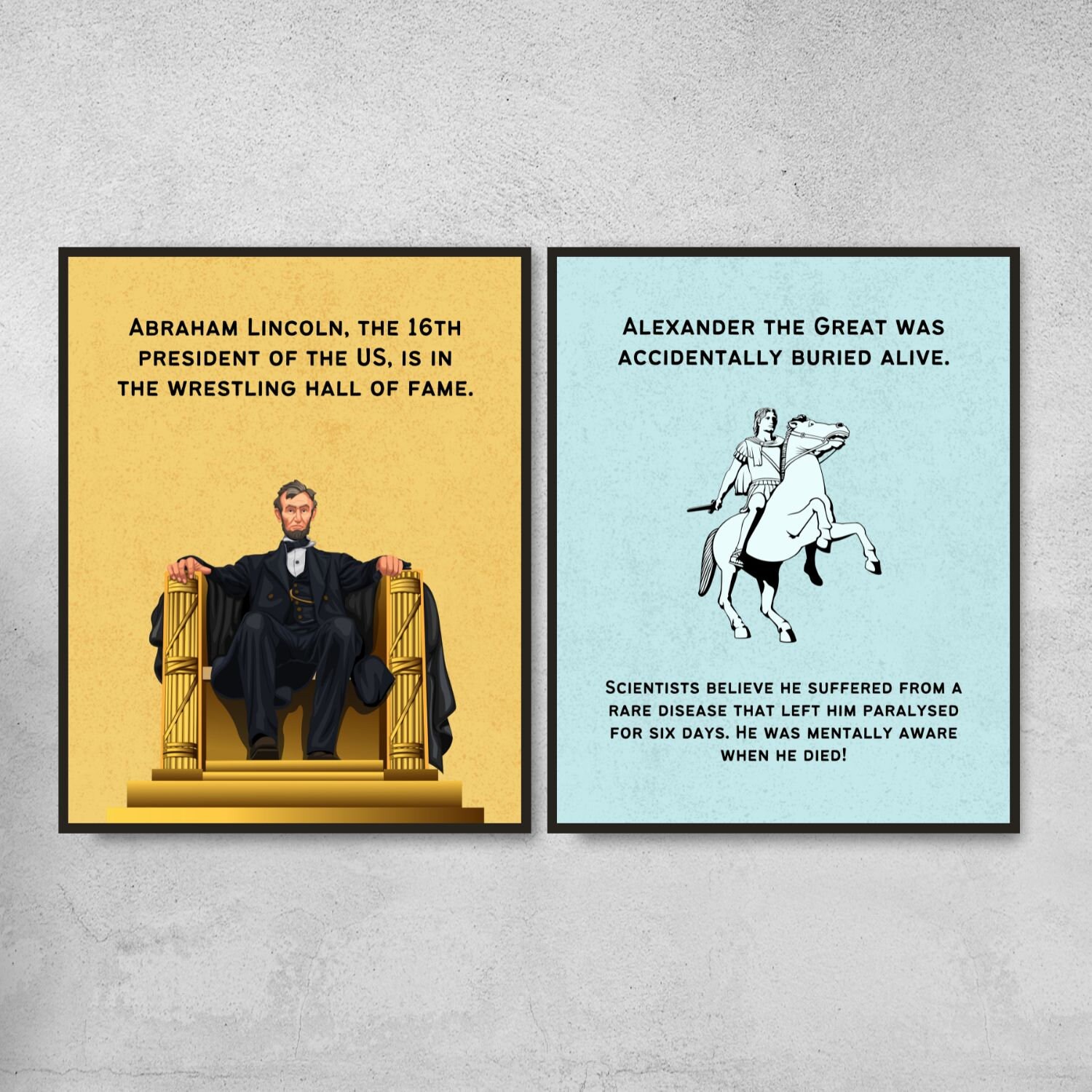History Fun Facts Posters for History Classroom Decor, Homeschool ...