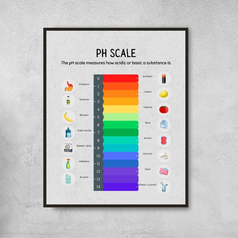 Acids and Bases Printable Posters for Science Classroom Decor ...