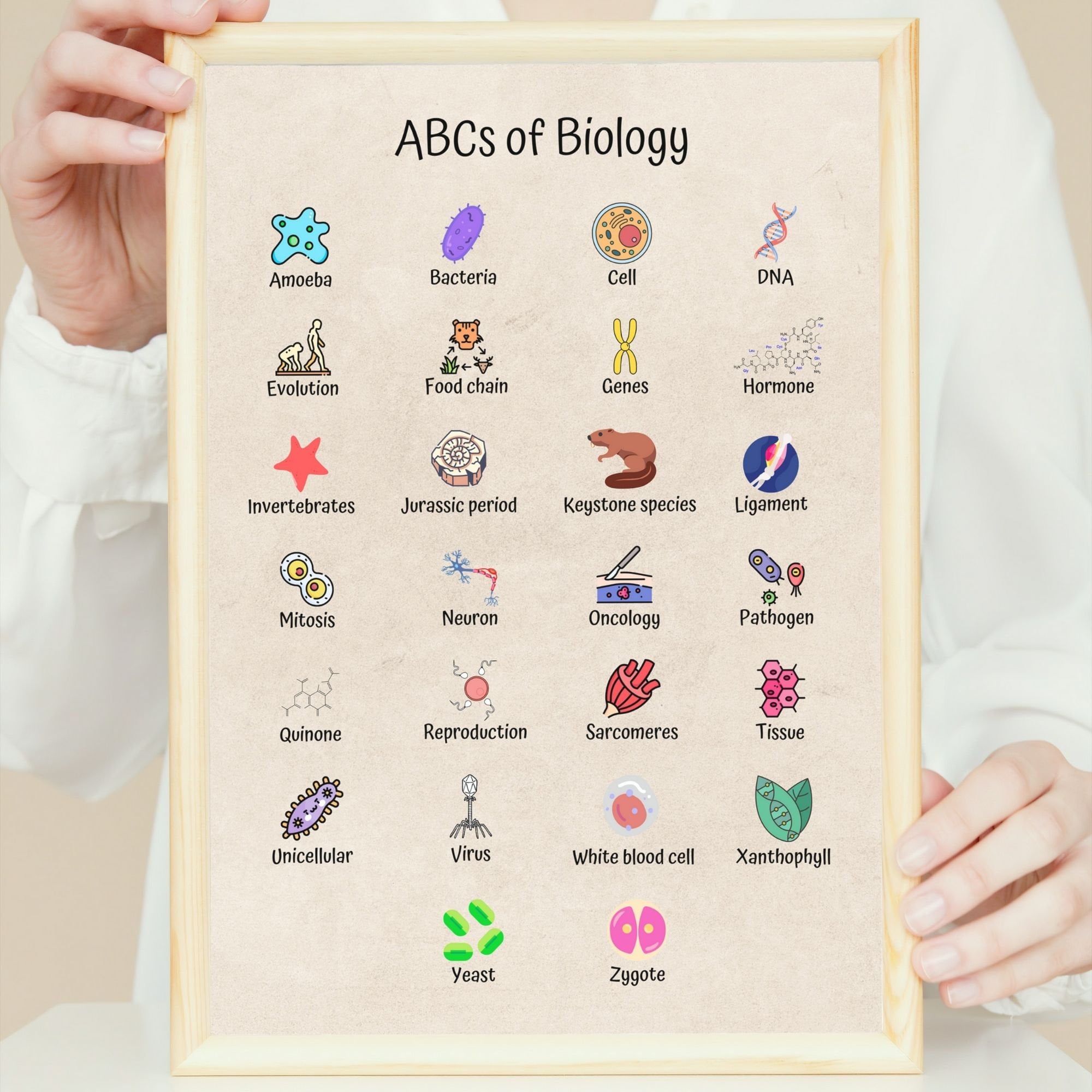 Abcs of Biology Poster Vintage Printable Science Classroom - Etsy UK