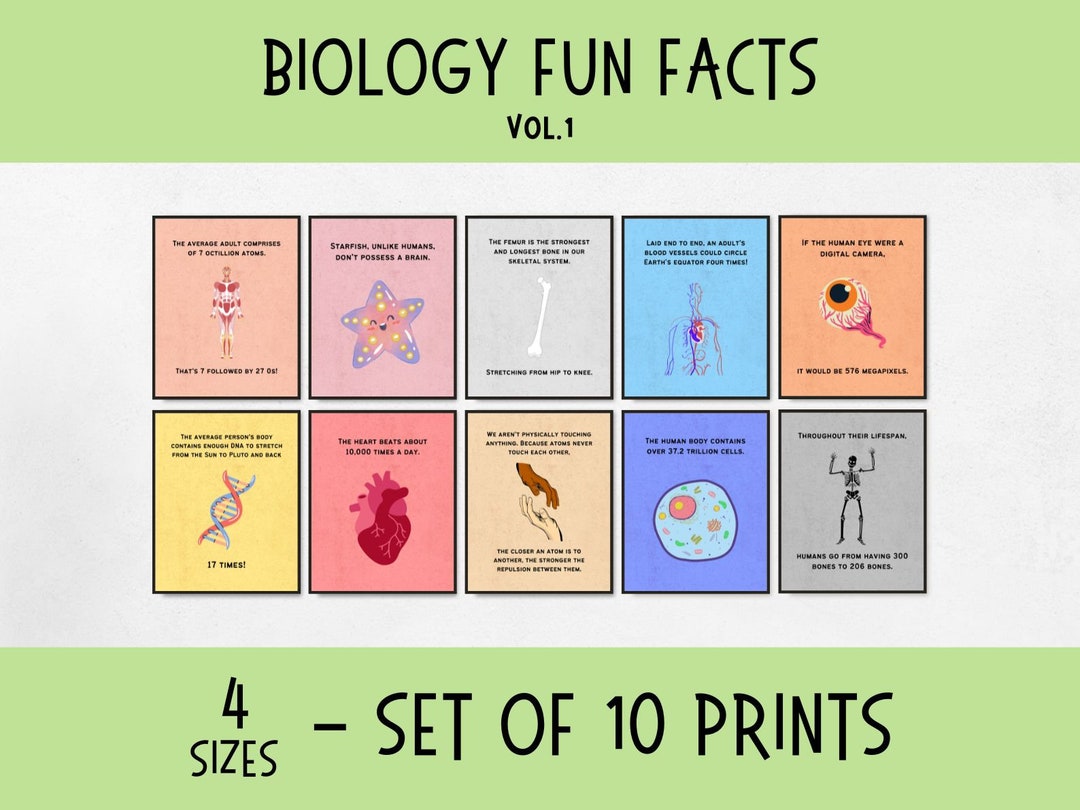 Biology Fun Facts Posters for Classroom Decor, Popular Science Posters ...