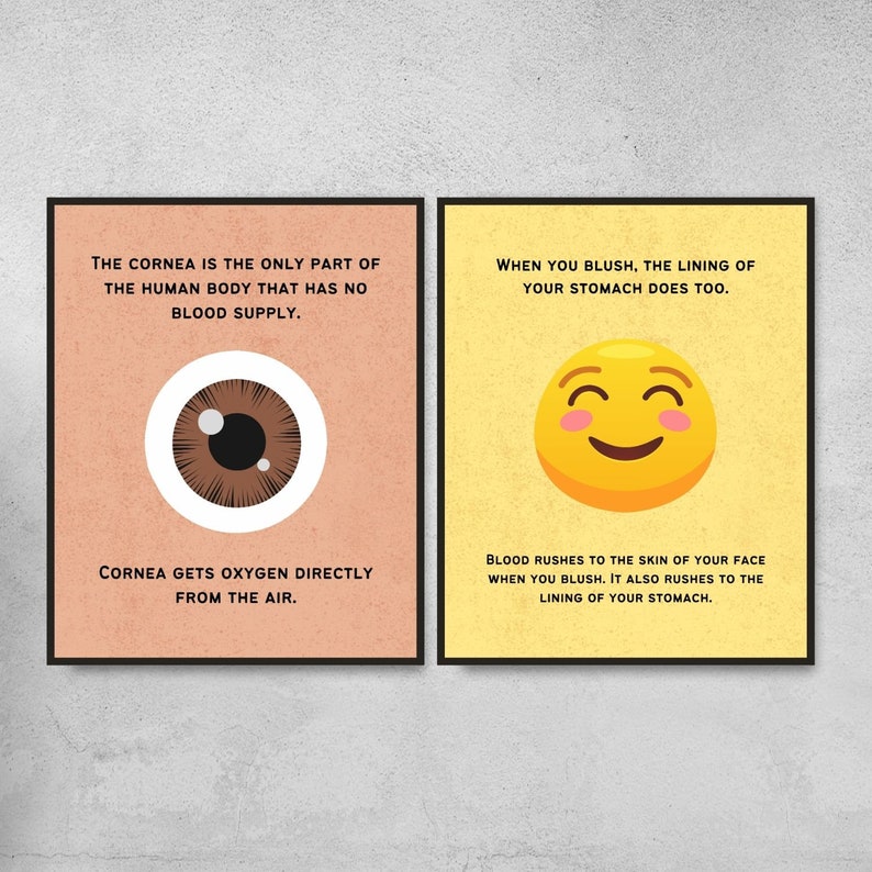 Biology Fun Facts Posters for Classroom Decor, Popular Science Posters ...