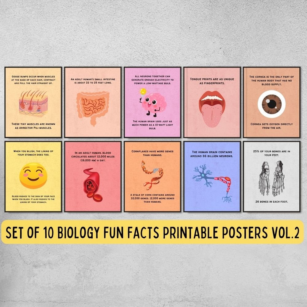 10 Biology Fun Facts Printable Poster Set, Science Classroom Decor for ...